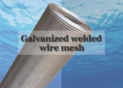 China 10 Gauge Galvanized Welded Wire Mesh Pr For Long Lasting Reinforcement for sale