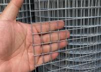 China 1/2 X 1/2 1/4 Inch Galvanized Welded Wire Mesh Fence Zinc Coating Electro Galvanized 10-15g/m2 Low Carbon Steel Wire Q195 for sale