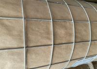 China Hole shape Square Hole Hot Dipped Galvanized Welded Wire Mesh with Zinc Coating 120g/m2 for sale