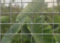 China 10 Gauge Galvanized Welded Wire Mesh Pr For Long Lasting Reinforcement for sale