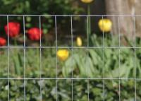 China 1/2 X 1/2 1/4 Inch Galvanized Welded Wire Mesh Fence Zinc Coating Electro Galvanized 10-15g/m2 Low Carbon Steel Wire Q195 for sale