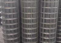 China 2 X 4 Galvanized Wire Mesh Heavy Duty And Durable For 1'' Mesh Size 8 Gauge Welded Wire Mesh for sale