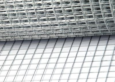 China Square Hole 1/4 1/2 Inch Hot Dipped Galvanized Welded Wire Mesh For Rabbit Bird Animal Pet Wholesale for sale