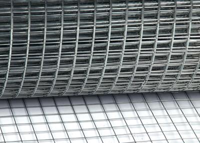 China Hot Dipped Galvanized Stainless Steel Welded Mesh Rolls 1/2 Inch 1/4 Inch for sale