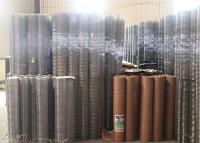 China Low Carbon Steel Wire Galvanized Welded Mesh Wire Animal Fence Or Netting Rolls With 5/8'' Mesh Size for sale