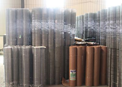 China Low Carbon Steel Wire Galvanized Welded Mesh Wire Animal Fence Or Netting Rolls With 5/8'' Mesh Size for sale