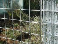 China Low Carbon Steel Zinc Coating Galvanised Welded Wire Mesh Roll For Benefit for sale