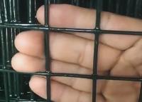 China Heavy Duty Black  Green Pvc Coated Welded Wire Mesh Square Hole For Gardening And Fencing for sale