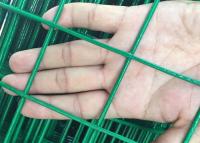 China Galvanized Iron Green Pvc Coated Steel Welded Wire Rolled Fencing Net Square Holes For Outdoor Garden Or Pet Cage for sale