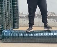 China Customized PVC Coated Wire Mesh Fencing For Transportation 18 gauge / 22 gauge for sale