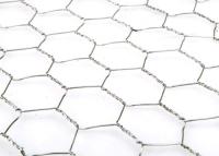 China Hexagonal Zinc Coated Wire Mesh Straight Twist Weave For Various Applications Free Sample Offered for sale