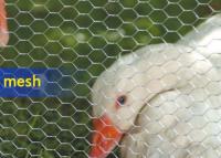 China 0.4mm-1.5mm Diameter Hexagon Wire Mesh Galvanized Iron for sale
