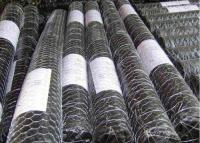 China Galvanized Iron Chicken Hexagonal Wire Mesh For Poultry Fencing / Garden Protection for sale
