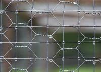 China Customizable Silver Pvc Coated Hexagonal Wire Mesh Zinc Coated 20-60g/m2 for Various Applications for sale