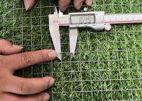 China 1/4'' 1/2'' Stainless Steel Welded Mesh For Local Welding Free Sample Available for sale
