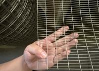China 1/4'' 1/2'' Stainless Steel Welded Mesh For Local Welding Free Sample Available for sale