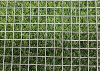 China Long Hole Stainless Steel Welded Mesh 1 /2 inch Free Sample Square Hole Design for Robust for sale