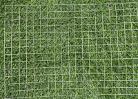 China Corrosion Resistance SS Welded 1/2 1/4 Inch 1Inch Bird Cage Wire Mesh for sale