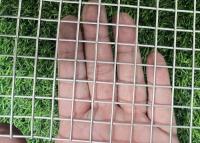 China 4x4 Stainless Steel Wire Mesh Panel For Masonry Reinforcement - Long Hole Square Shape for sale