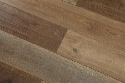 China 20 Mil Plank Luxury Vinyl Flooring 12x24 4mm 5mm 3mm PVC Special spc for sale