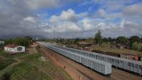 China 23.5t Top Covered Cattle Railroad Wagon 75km/H 1000mm Gauge Livestock Transport for sale