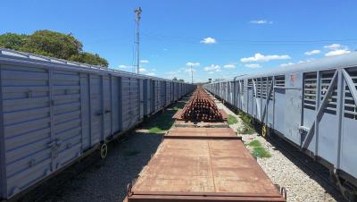 China Railway Livestock Wagon 60-100 Tons Capacity Bottom Discharge 100 km/h Animal Transport for sale