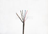 China Customized Cat5e Patch Cord 24AWG Stranded Bare Copper RoSH PVC For Cabling System for sale