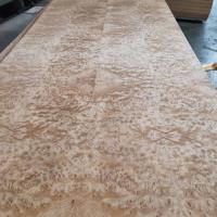 China Myanmar Golden Camphor Burl Wood Veneer Sheet 4x8 ft 0.20mm Slice Cut Grade A for sale