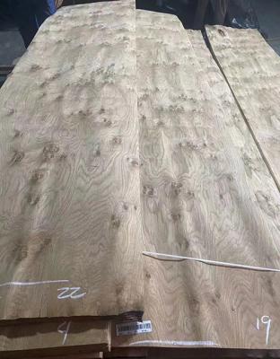 China European White Oak Burl Veneer 0.50mm Thick AAA Grade Furniture Grade Wood Veneer for sale