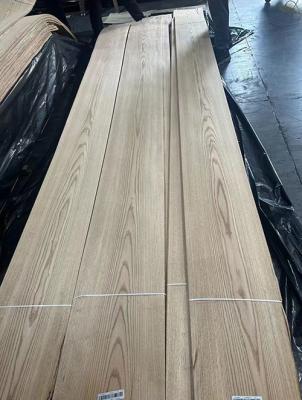 China Red Oak Wood Veneer Panel AAA Grade 0.5mm Crown Cut for Furniture and Door for sale