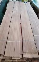 China AA Grade Sapele Wood Veneer 1mm Flat Cut Panel for Furniture and Doors for sale