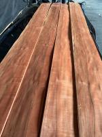 China 8% Moisture Plain Sliced Veneer Interior Decoration 250cm Apple Veneer for sale