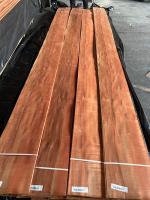 China 8% Moisture Plain Sliced Veneer Interior Decoration 250cm Apple Veneer for sale