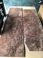 China American Walnut Burl Wood Veneer 0.45mm Rotary Cut for Luxury Door Leaf for sale