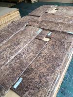 China American Walnut Burl Wood Veneer 0.45mm Grade A Slice Cut for Luxury Decoration for sale