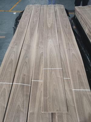 China Crown Cut American Walnut Natural Wood Veneer 0.45mm Panel A Grade for Furniture for sale