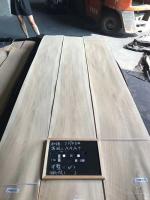 China Crown Cut White Oak Wood Veneer 0.42mm Panel A Grade for Fancy Plywood for sale