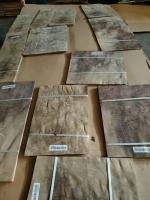 China Slice / Rotary Cut Walnut Burl Veneer With Sap 0.50MM Thickness for sale