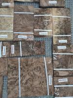 China 12% Moisture Black Walnut Burl Wood 0.50mm Thickness for sale
