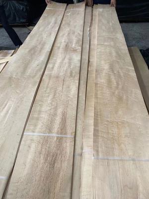 China Slice Cut Birds Eye Maple Wood Veneer 0.50mm Panel A for sale