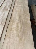 China Slice Cut Birds Eye Maple Wood Veneer 0.50mm Panel A for sale