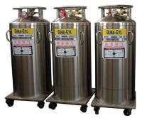 China Liquid Nitrogen Storage Tank 175L 200L 240L High Pressure Cryogenic Dewar for Medical Industrial Use for sale