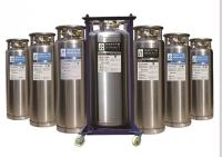 China Liquid Nitrogen Storage Tank 175L 200L 240L High Pressure Cryogenic Dewar for Medical Industrial Use for sale