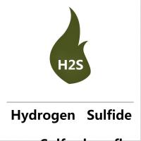 China Industrial Grade Hydrogen Sulfide H2S Gas 99.9% Purity 47L Cylinder for Chemical Synthesis for sale