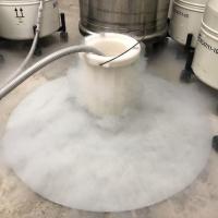 China High Purity Nitrogen Gas N2 40L 50L Cylinder for Food Beverage Electronics Blanketing for sale