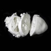 China Selective Laser Melting 3d Printing Prototype China Titanium Alloy Resin Clear PMMA for sale