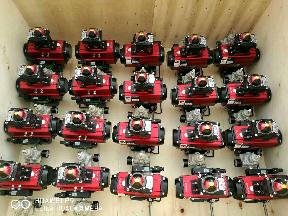 China pneumatic rotary actuator red colour black caps actuator with polyester coating for sale