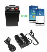 China Electric Bicycle Lithium Ion 72 Volt Lifepo4 Battery Pack 10ah 40Ah 50Ah 60Ah 100Ah for sale
