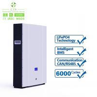 China PowerWall 48V 51.2V 100Ah LiFePO4 Battery 5kWh 10kWh for Home Energy Storage System for sale