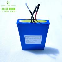 China CTS OEM Battery Pack 9.6V 11.1V 40Ah Lithium Ion LiFePO4 for sale
